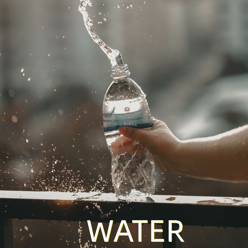 Chalkboard Wet Glue Label Tinyme Labels Round Zebra Gx420d Labels